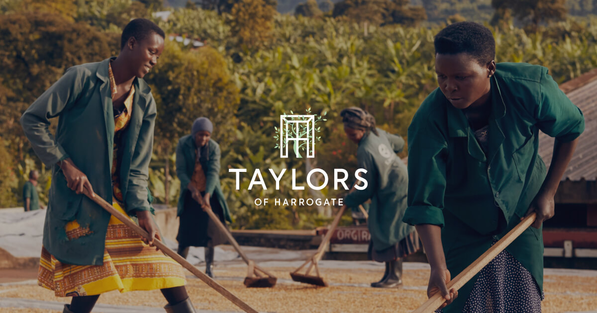 Annual Sustainability Report 2023 | Taylors of Harrogate